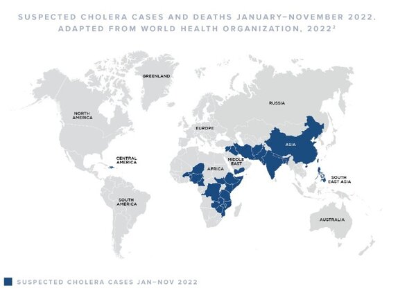 What Is Cholera? Symptoms, Risks & How to Stay… | Ready Health