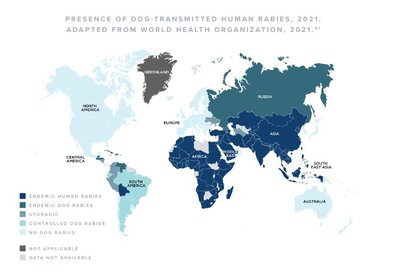 Rabies Explained: Symptoms, Risks & How to Stay… | Ready Health