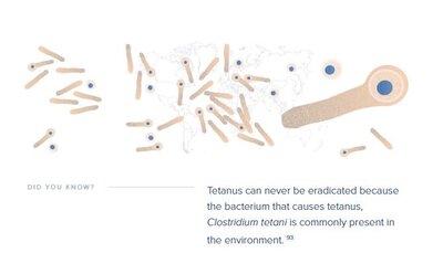 What Is Tetanus? Symptoms, Risks & Why Travel… | Ready Health