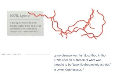 Lyme Disease: Symptoms, Causes & Tick Bite Prevention… | Ready Health