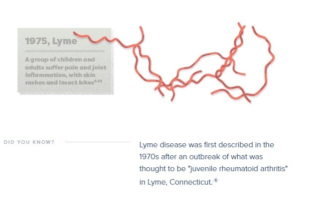 Lyme Disease: Symptoms, Causes & Tick Bite Prevention… | Ready Health