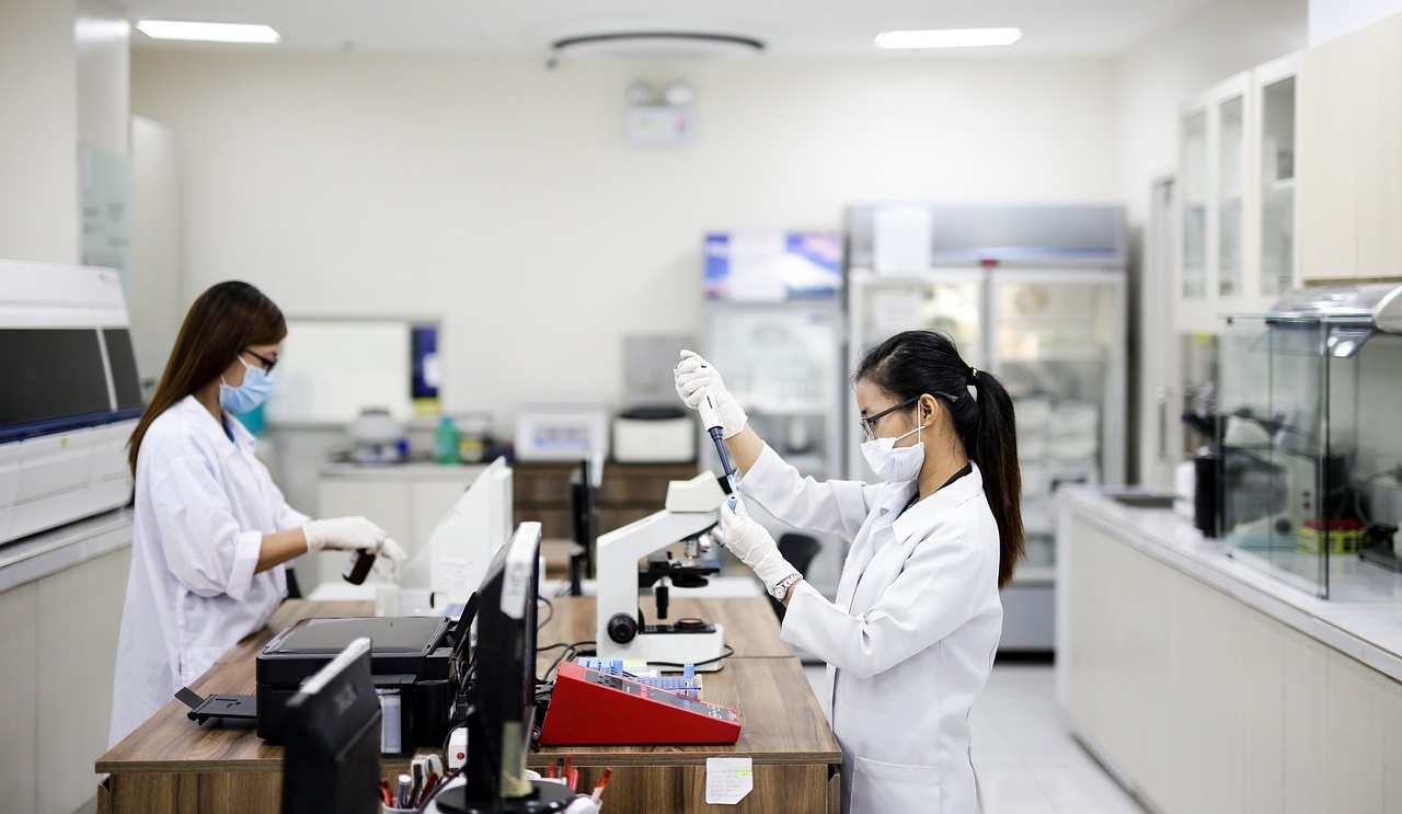Understanding Liver Function Tests – What They Reveal | Ready Health