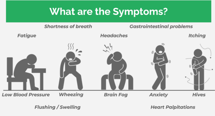 Mast Cell Activation Syndrome (MCAS) Diagnosis &… | Ready Health